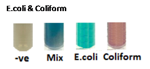 Swabsure E.Coli and Coliform Kit - FMCG FMCG